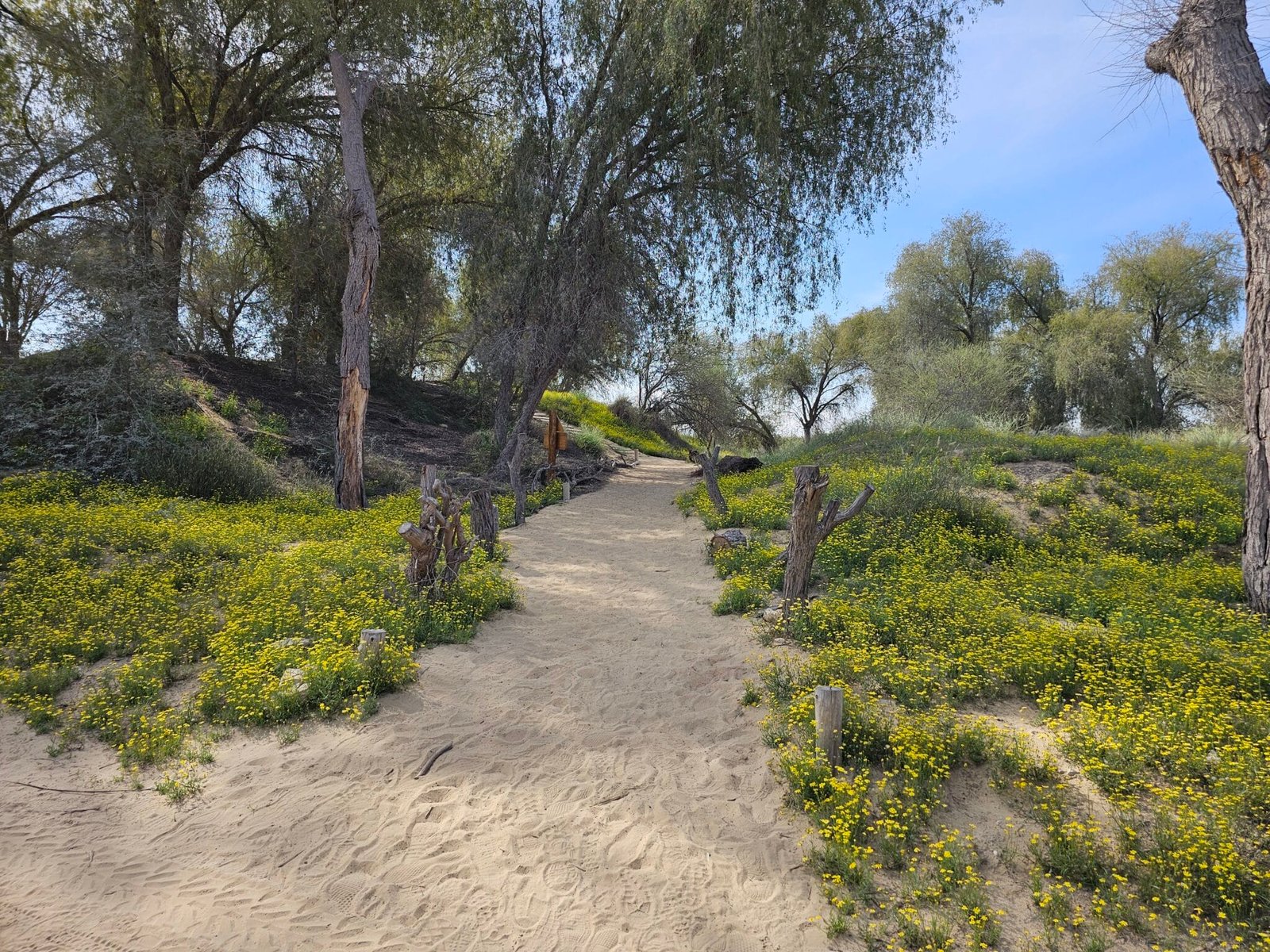 Mushrif Park Hiking Trail: Dubai, Timings, Location, Photos